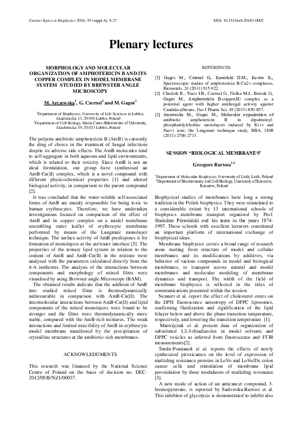 (PDF) Plenary lectures