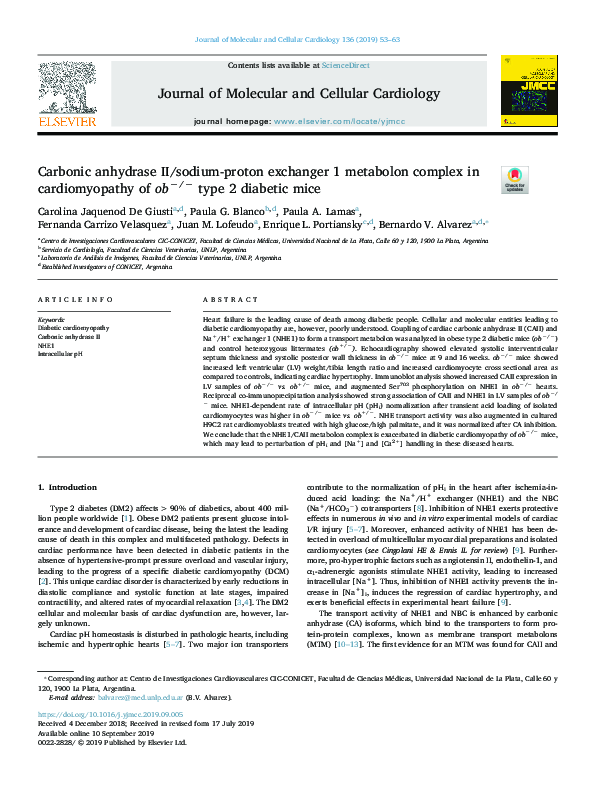 (PDF) Carbonic anhydrase II/sodium-proton exchanger 1 metabolon complex ...