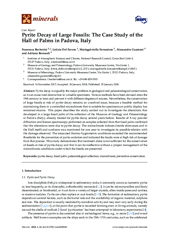 (PDF) Pyrite Decay of Large Fossils: The Case Study of the Hall of ...