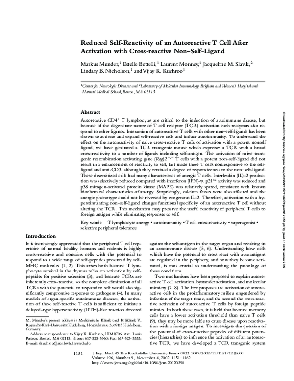 (PDF) Reduced Self-Reactivity of an Autoreactive T Cell After ...