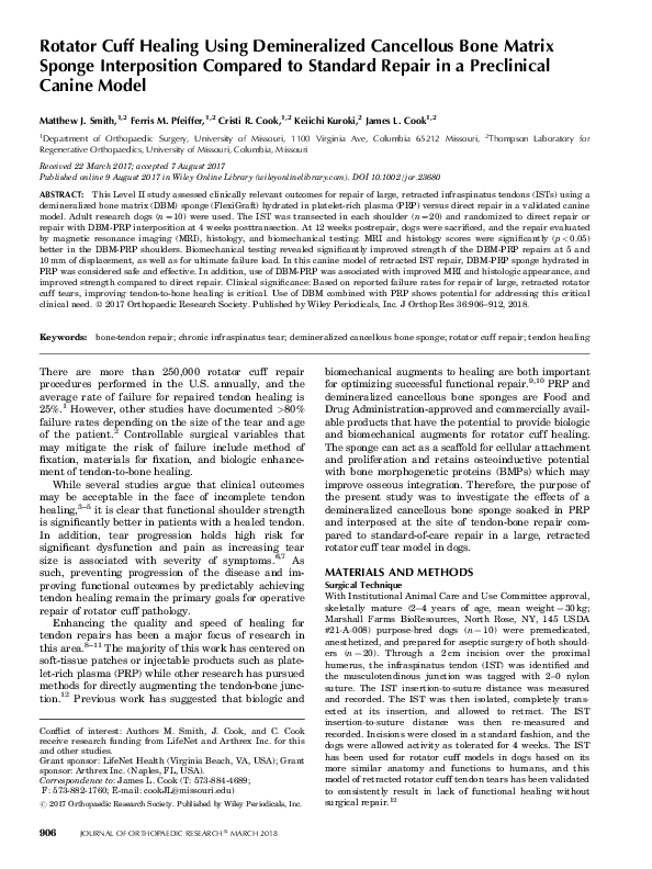 (PDF) Rotator Cuff Healing using Demineralized Cancellous Bone Matrix ...