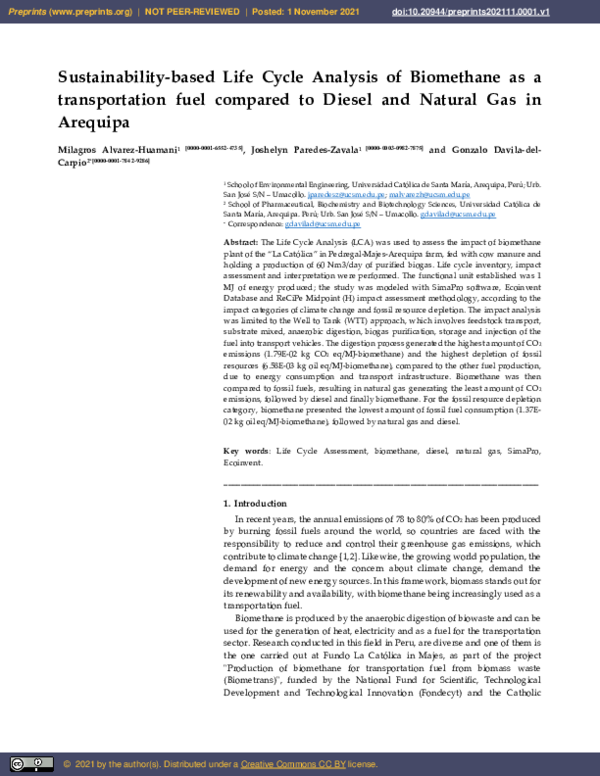 (PDF) Sustainability-Based Life Cycle Analysis of Biomethane as a ...