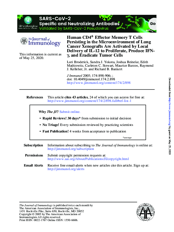 (PDF) Human CD4+ Effector Memory T Cells Persisting in the ...