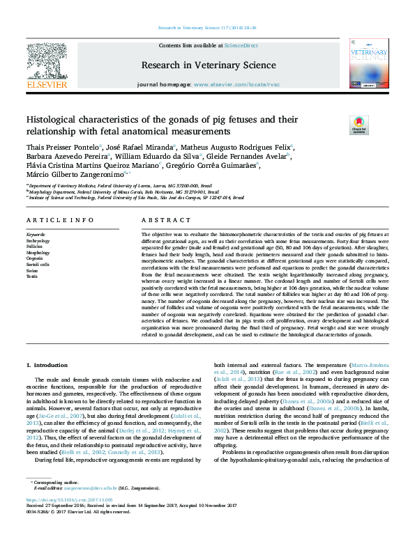 Histological characteristics of the gonads of pig fetuses and their ...