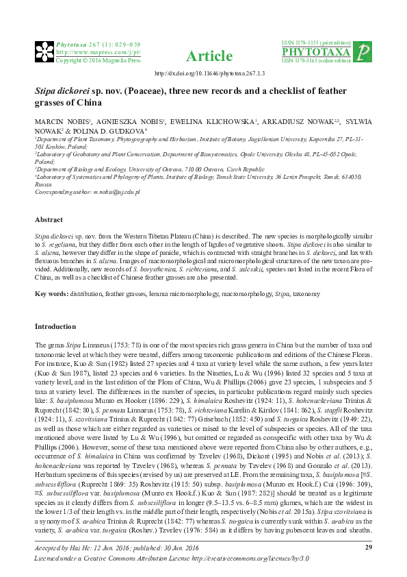 (PDF) Stipa dickorei sp. nov. (Poaceae), three new records and a ...