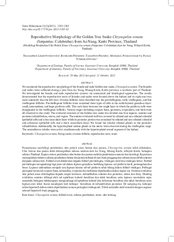 (PDF) Reproductive Morphology of the Golden tree snake Chrysopelea ...