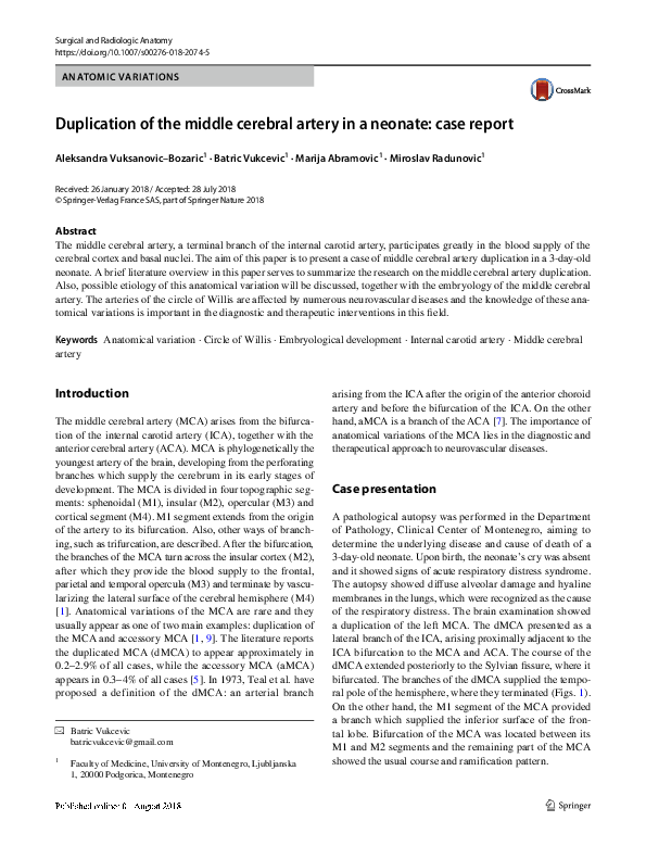 (PDF) Duplication of the middle cerebral artery in a neonate: case report