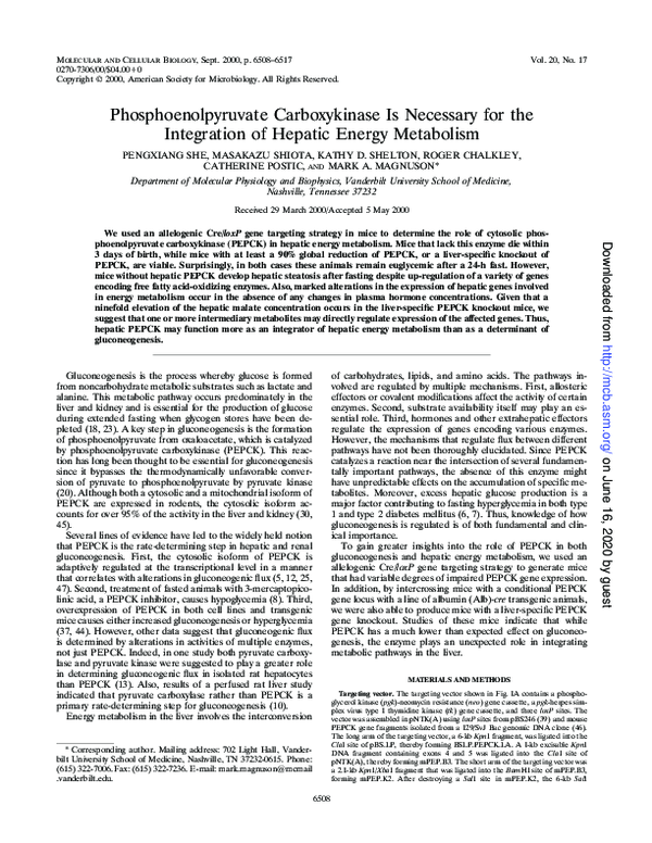 (PDF) Phosphoenolpyruvate Carboxykinase Is Necessary for the ...