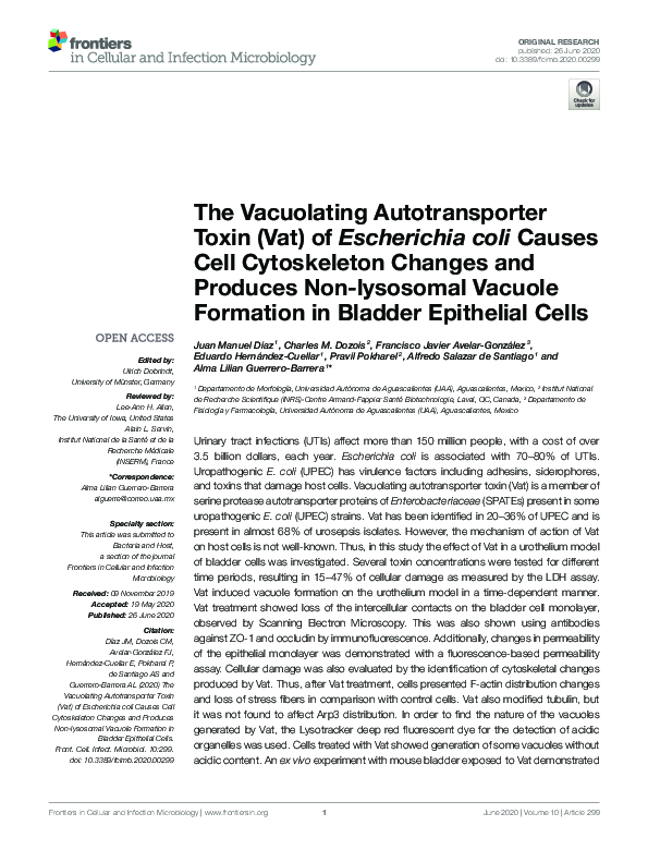 (PDF) The Vacuolating Autotransporter Toxin (Vat) of Escherichia coli ...