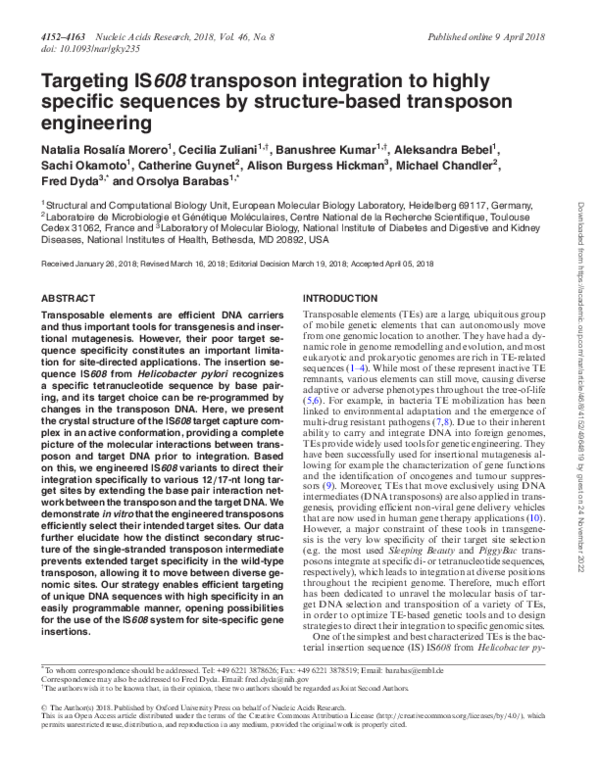 (PDF) Targeting IS608 transposon integration to highly specific ...