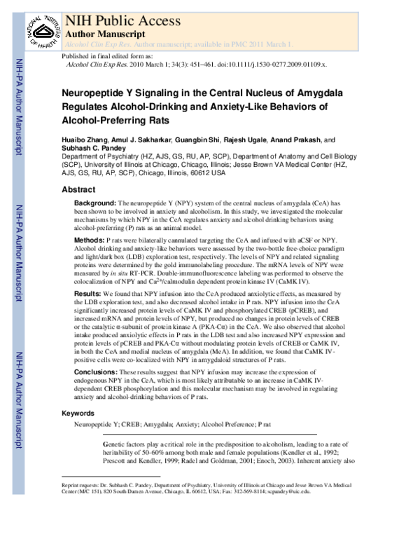 (PDF) Neuropeptide Y Signaling in the Central Nucleus of Amygdala ...