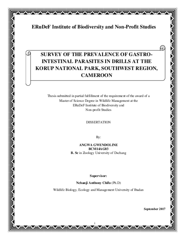 (PDF) Thesis for MSc