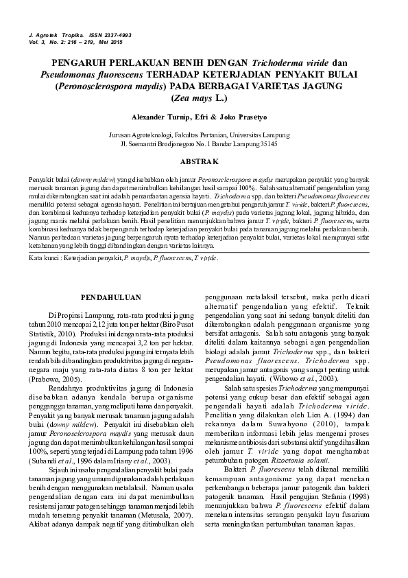 Pengaruh Perlakuan Benih Dengan Trichoderma Viride Dan Pseudomonas Fluorescens Terhadap