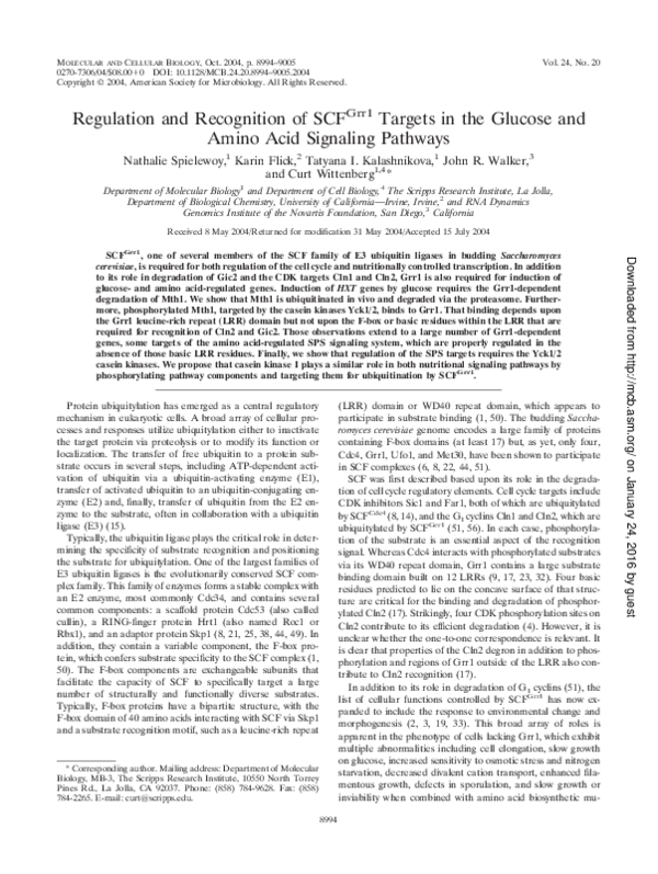 (PDF) Regulation and Recognition of SCF Grr1 Targets in the Glucose and ...
