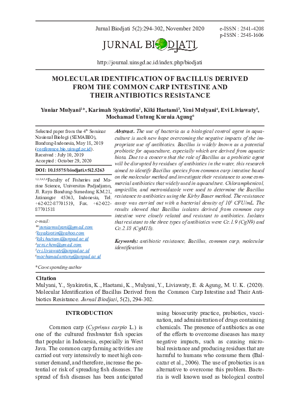 (PDF) Molecular Identification of Bacillus Derived from the Common Carp ...