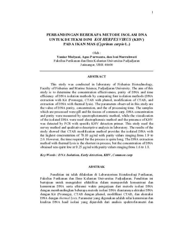 (PDF) PERBANDINGAN BEBERAPA METODE ISOLASI DNA UNTUK DETEKSI DINI KOI HERPES VIRUS (KHV) PADA ...