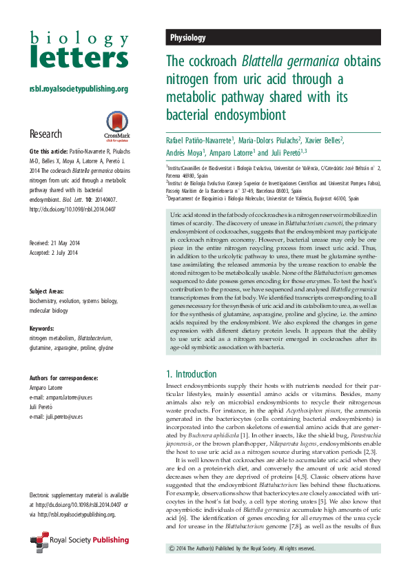 (PDF) The cockroach Blattella germanica obtains nitrogen from uric acid ...
