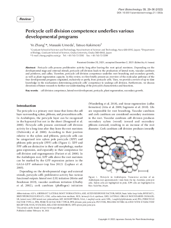(PDF) Pericycle cell division competence underlies various ...
