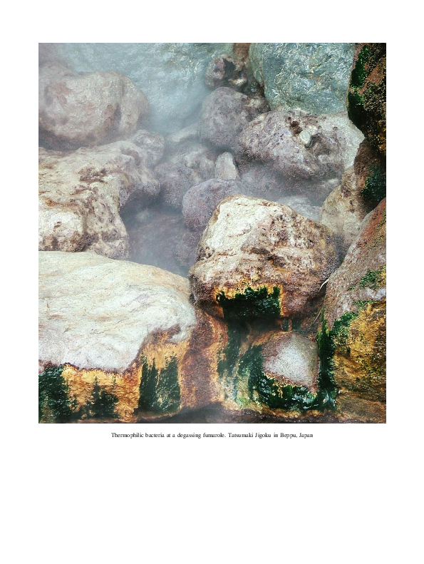 (PDF) The Geochemistry of Hot Springs
