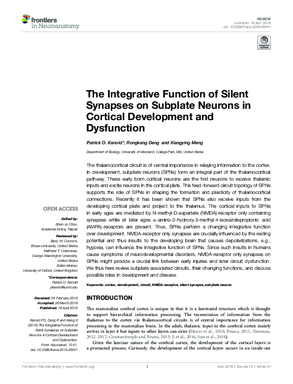 (PDF) The Integrative Function of Silent Synapses on Subplate Neurons ...