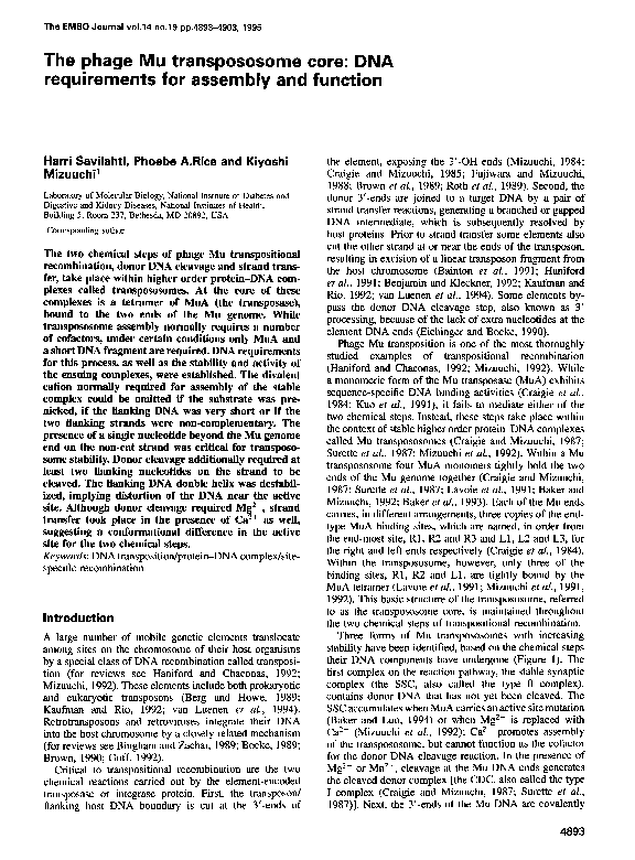 (PDF) The phage Mu transpososome core: DNA requirements for assembly ...