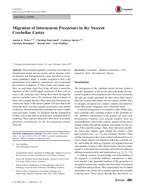 (PDF) Migration of Interneuron Precursors in the Nascent Cerebellar Cortex