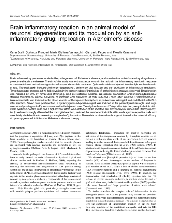 (PDF) Brain inflammatory reaction in an animal model of neuronal ...