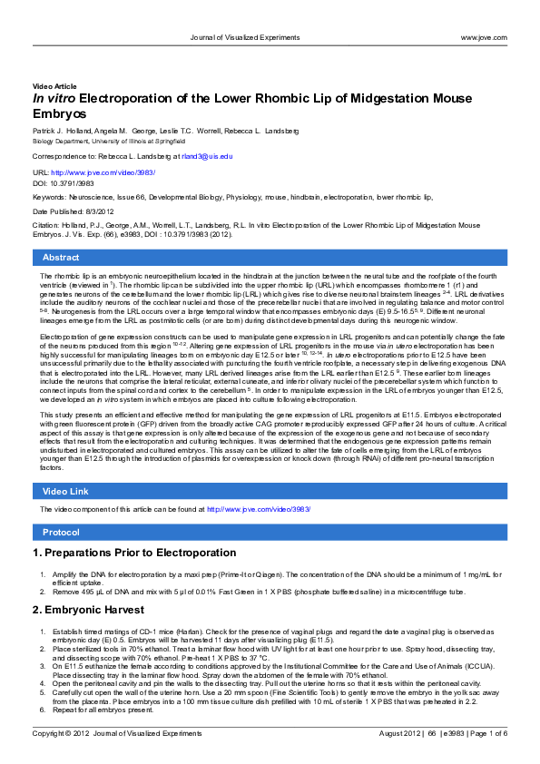 (PDF) In vitro electroporation of the lower rhombic lip of midgestation ...