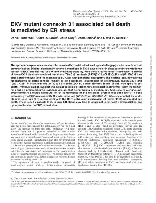 (PDF) EKV mutant connexin 31 associated cell death is mediated by ER ...