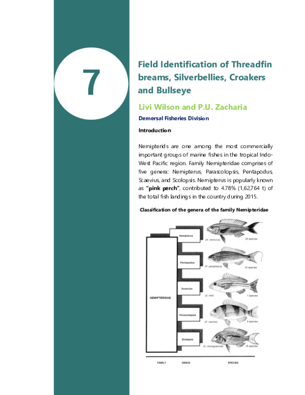 (PDF) Field Identification of Threadfin breams, Silverbellies, Croakers ...
