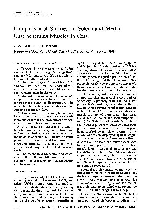 (PDF) Comparison of stiffness of soleus and medial gastrocnemius ...