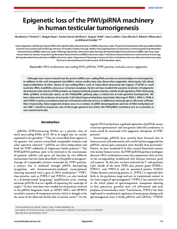 (PDF) Epigenetic loss of the PIWI/piRNA machinery in human testicular ...