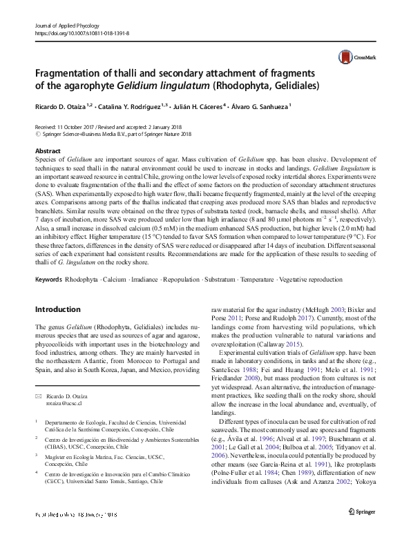 (PDF) Fragmentation of thalli and secondary attachment of fragments of ...