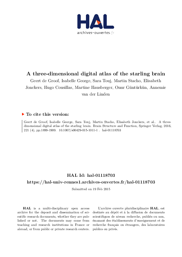 (PDF) Brain Structure and Function A 3-Dimensional Digital Atlas of the ...