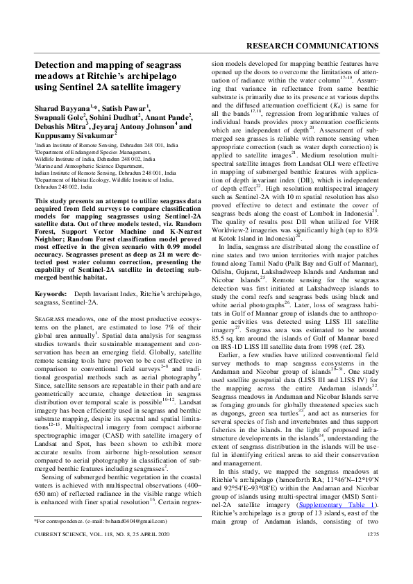 (PDF) Detection and Mapping of Seagrass Meadows at Ritchie’s ...