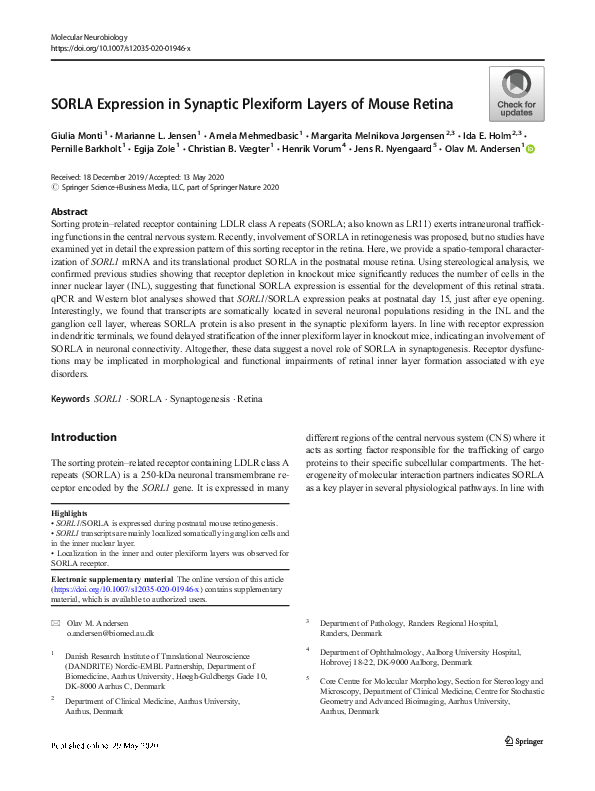 (PDF) SORLA Expression in Synaptic Plexiform Layers of Mouse Retina