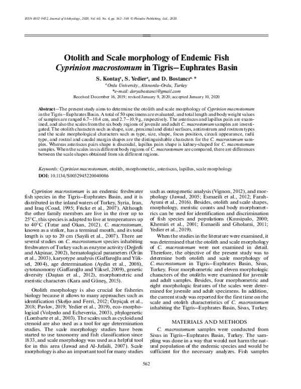 (PDF) Otolith and Scale morphology of Endemic fish Cyprinion ...