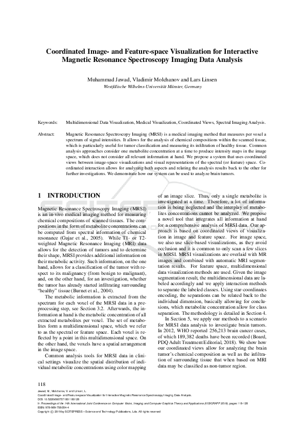 Pdf Coordinated Image And Feature Space Visualization For Interactive Magnetic Resonance