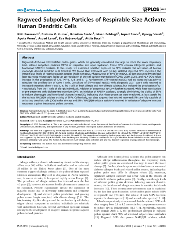 (PDF) Ragweed Subpollen Particles of Respirable Size Activate Human ...