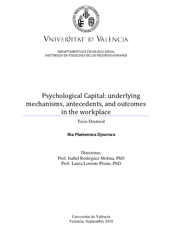 (PDF) Psychological capital: underlying mechanisms, antecedents, and ...