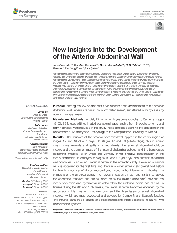 (PDF) New Insights Into the Development of the Anterior Abdominal Wall