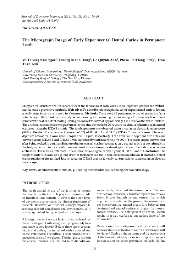(PDF) The Micrograph Image of Early Experimental Dental Caries in ...