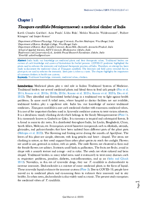 (PDF) Tinospora cordifolia (Menispermaceae): a medicinal climber of India