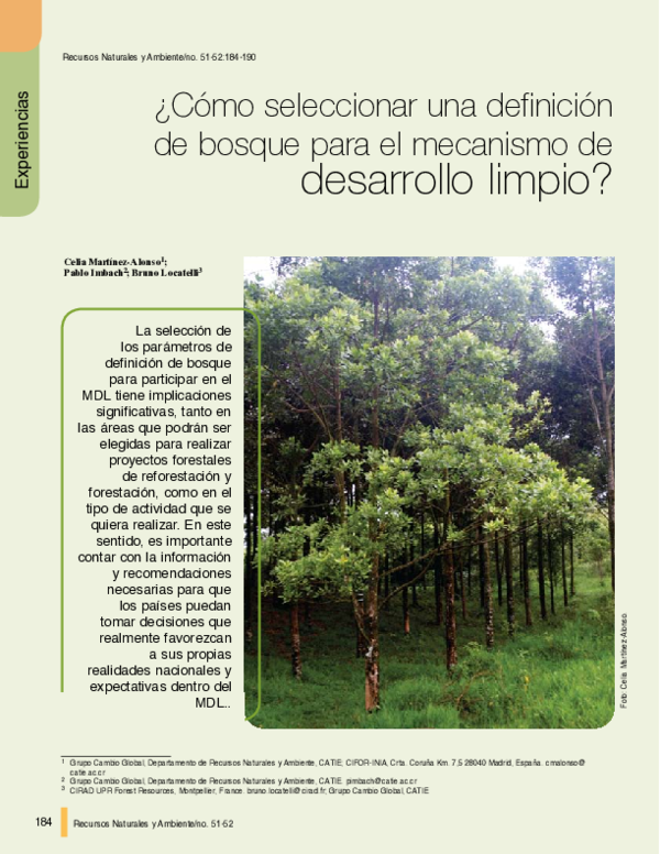 (PDF) Cómo seleccionar una definición de bosque para el mecanismo de ...