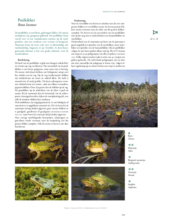 (PDF) Amfibieën en reptielen: Poelkikker