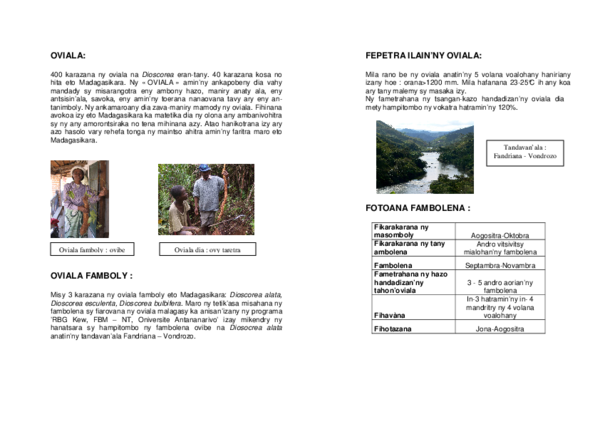 (PDF) Leaflet manual on winged and wild yam cultivation