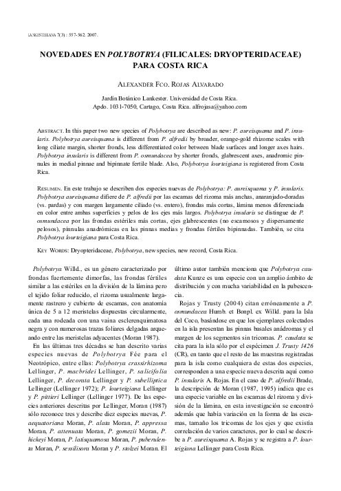 (PDF) Novedades en Polybotria (Filicales: Dryopteridaceae) para Costa Rica