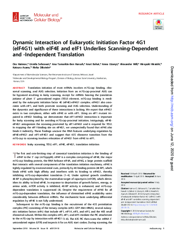 (PDF) eIF4G1 Interactions in Translation Initiation