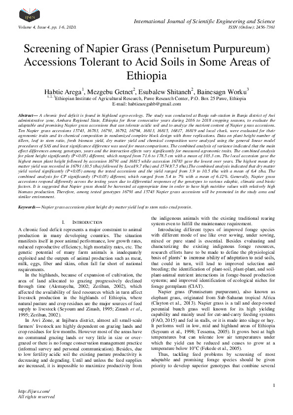 (PDF) Screening of Napier Grass (Pennisetum Purpureum) Accessions ...