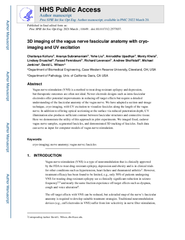 (PDF) 3D imaging of the vagus nerve fascicular anatomy with cryo ...